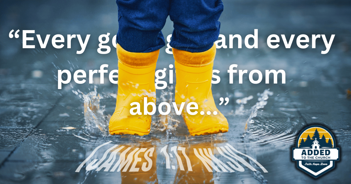 How to Feel Like Singing in the Rain - Added to the Church